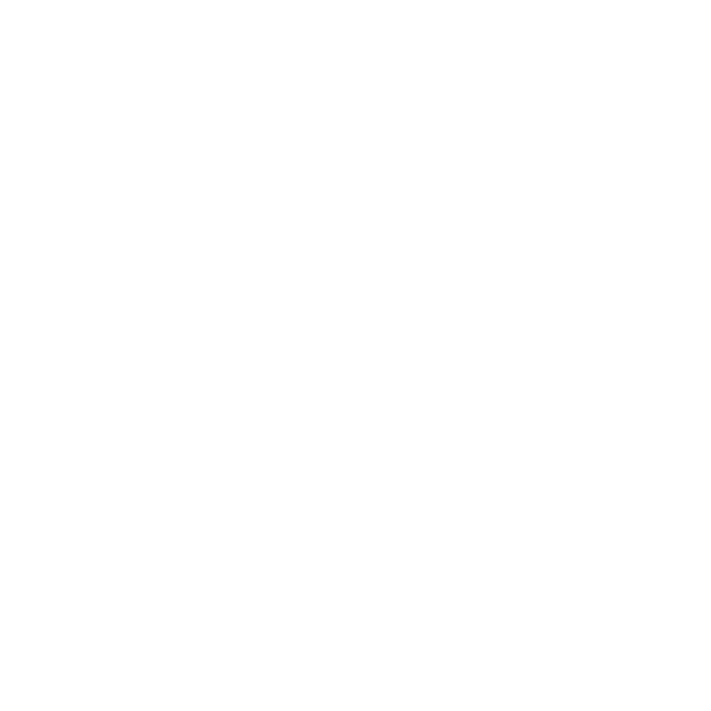 Wise Capital - Inversiones